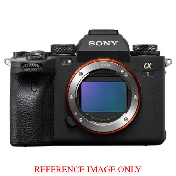 Sony Alpha A1 Body | Secondhand – Ted's Cameras